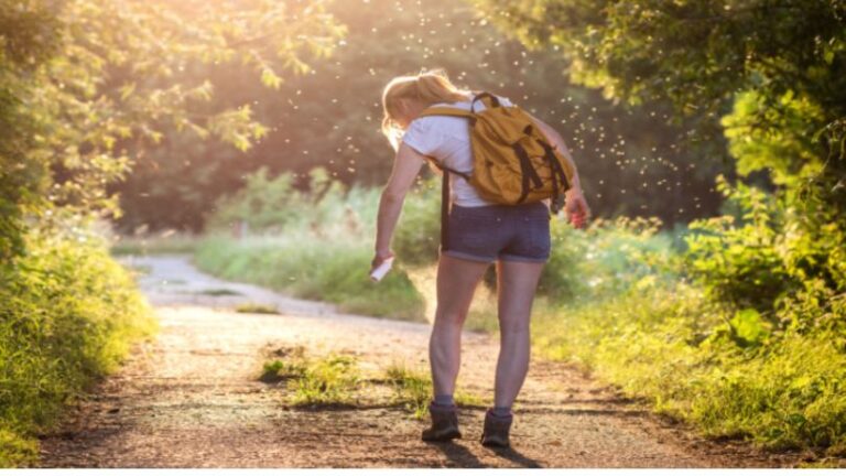 Štípanec od ploštice či blchy? Ako sa vyhnúť komplikáciám | lekar.sk